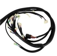 China RoHS Cable Wire Harnesses OEM Forklift Main Wiring Harness Assembly for sale