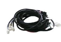 China Pure Copper Cable Wire Harnesses Customize Golf Cart Wiring Harness for sale