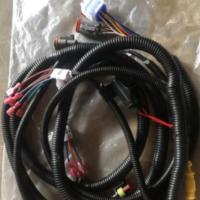 China ISO Heavy Duty Golf Cart Wiring Harness 103496901 Voltage 12V for sale