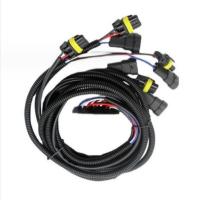 China ISO ODM EV Wiring Harness Electric Cable Assembly For Automotive for sale