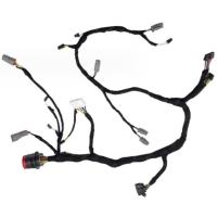 China Plastic Electric Vehicle Wire Harness Assembly OEM Voltage 24V for sale