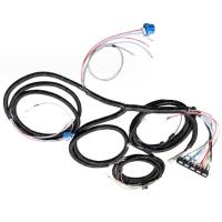 China Pure Copper Auto Electrical Wiring Harness Black Wiring Loom Assembly for sale