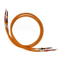 China RHOS Electric Vehicle Wire Harness 16AWG Automobile Wiring Harness for sale