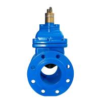 China Flanged Gate Valve 2 Inch Ductile Cast Iron Gate Valves for sale
