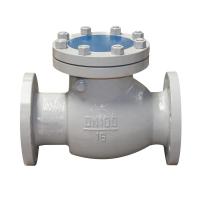 China Flange End Swing Automotive Check Valve for sale
