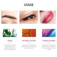 China Original 15ml Dynamic Liquid Permanent Makeup Pigments 18 colors ODM for sale