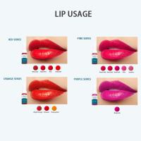 China Original 15ml Dynamic Liquid Permanent Makeup Pigments 18 colors ODM for sale