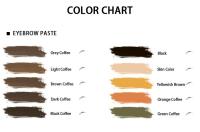 China Famisoo Micro Radiant Small Bottle Tattoo Ink Microblading Eyebrow Parst Pigment for sale