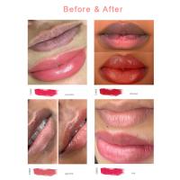 China Lip Permanent Makeup Pigments For Machine Water Base Liquid for sale