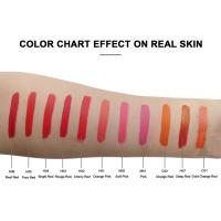 China ODM 1000ml Lip Permanent Makeup Pigments Liquid For Machine for sale