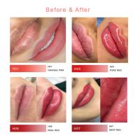 China ODM 1000ml Lip Permanent Makeup Pigments Liquid For Machine for sale