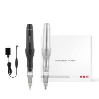 China PMU Handpiece Machine Lip Eyebrows MTS Tattoo Pen Kit for sale