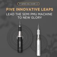 China SPA Wireless Profecional Permanent Make Up Pen For Eyebrows for sale