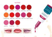 China Harmless Permanent Makeup Pigments For Eyebrow Lip Eyeliner 18 Colors for sale