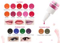 China Long Lasting Permanent Makeup Pigments , Lips / Eyeliner / Eyebrow Tattoo Ink  for sale