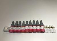 China Luxury Chic - makeup Lips Permanent Makeup Kit Of Pure Plant Liquid Pigment for sale