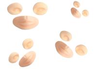 China 3D Permanent Makeup Silicone Practice Skin Eyebrow Lip Tattooing For Beauty And Medical Programs for sale