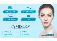 China Luxury Permanent Makeup Kit With High Speed And Silence CE Certificate for sale