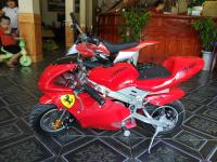 China 49CC Mini Sports Motorcycle with 1.8L Fuel Tank and 6-Inch Wheels - Hand Pull Start Off-Road Bike for sale