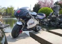 China 49cc 2 Stroke Gasoline Dirt Bike Mini Motorcycle for Kids and Adults 6 Inch Wheels for sale