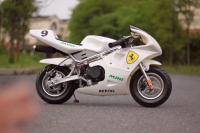 China 49cc Mini Dirt Bike for Adults 2 Stroke Pull Start Electric Start Max Speed 60km/h for sale