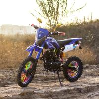 China 125cc 150cc 200cc 250cc 4-Stroke Off-Road Pit Bike for Adults - 75-100 Km/h Speed, 200-300kg Payload Capacity for sale