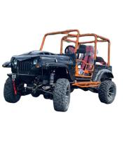 China ATV-TY 300cc 4WD Automatic Utility Vehicle with 200-300kg Payload Capacity and 50-75km/h Speed for sale