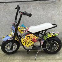 China 300W 12V/24V Monocystaline Electric Motor System with 250W Power and 80KG Load Capacity for sale