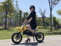 China 300W Electric Off-Road Dirt Bike with CE Certification - 40-60km/h Speed & Lead-Acid Battery System for sale