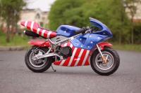 China 300W Electric Off-Road Dirt Bike with CE Certification - 40-60km/h Speed & Lead-Acid Battery System for sale