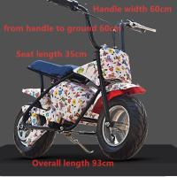 China 300W Electric Off-Road Dirt Bike with CE Certification - 40-60km/h Speed & Lead-Acid Battery System for sale