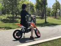 China 49cc All-Terrain Two-Wheel Beach Buggy with 60-80 KM/H Top Speed and 200-300kg Payload Capacity for sale