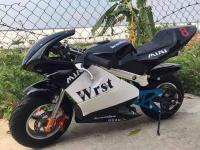 China 49cc 3 Wheel Gas Scooter Trike with 1.8L Fuel Tank and Disc Brakes for sale