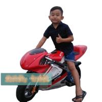China 49CC Gas Mini Bike with 1.8L Fuel Tank and 6-Inch Wheels - 23 Style Options Available for sale