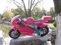 China 49cc Mini Dirt Bike for Kids Electric Start 40-60km/h Off Road Racing Motorcycle for sale