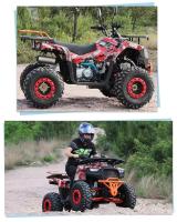 China 125cc All-Terrain ATV with Automatic Transmission, 200-300kg Payload Capacity and 75-100Km/h Speed for Off-Road Performance for sale