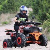 China 125cc All-Terrain ATV with 200-300kg Payload Capacity, Automatic Transmission & CE Certification for sale