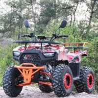 China 125cc All-Terrain ATV with 200-300kg Payload Capacity, Automatic Transmission & CE Certification for sale