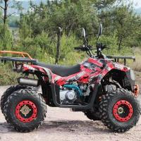 China 125cc All-Terrain ATV with 200-300kg Payload Capacity, Automatic Transmission & CE Certification for sale