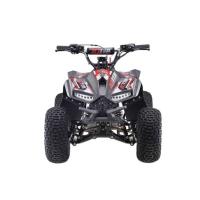 China 2024 125CC 4-Stroke Off-Road ATV Quad with Electric Start, 1500x930x950mm Dimensions for sale