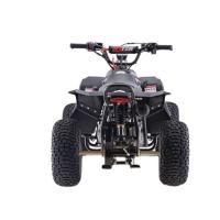 China 2024 125CC 4-Stroke Off-Road ATV Quad with Electric Start, 1500x930x950mm Dimensions for sale