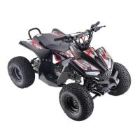 China 2024 125CC 4-Stroke Off-Road ATV Quad with Electric Start, 1500x930x950mm Dimensions for sale