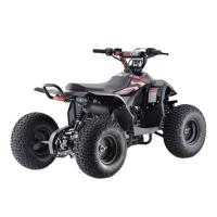 China 2024 125CC 4-Stroke Off-Road ATV Quad with Electric Start, 1500x930x950mm Dimensions for sale