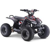 China 2024 125CC 4-Stroke Off-Road ATV Quad with Electric Start, 1500x930x950mm Dimensions for sale