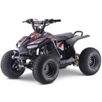 China 2024 125CC 4-Stroke Off-Road ATV Quad with Electric Start, 1500x930x950mm Dimensions for sale