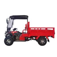 China 2024 300cc Bajaj Model Motor Tricycle ATV Truck with 2-Ton Load Capacity and 60 km/h Speed for sale