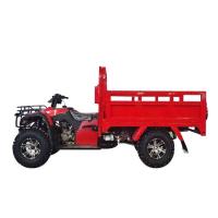 China 2024 300cc Bajaj Model Motor Tricycle ATV Truck with 2-Ton Load Capacity and 60 km/h Speed for sale