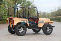 China 2024 300cc Off-Road ATV Convertible - Two-Seater Scenic Sightseeing Car with 450kg Load Capacity for sale