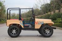 China 2024 300cc Off-Road ATV Convertible - Two-Seater Scenic Sightseeing Car with 450kg Load Capacity for sale