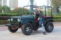 China 2024 300cc Off-Road ATV Convertible - Two-Seater Scenic Sightseeing Car with 450kg Load Capacity for sale